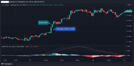 How to Trade The Marubozu Candle Pattern (in 2 Steps)