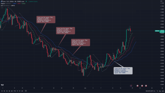 Williams Alligator Indicator - Trading Strategy and Tips