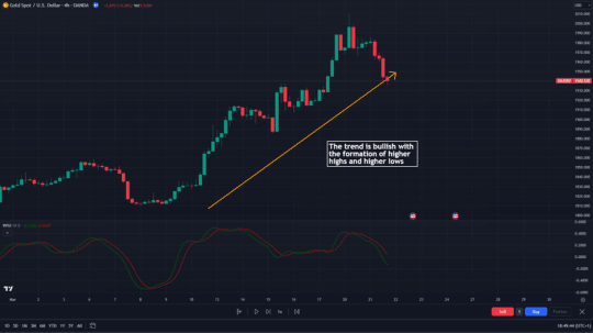 How to Use the Relative Vigor Index Indicator - Trading Strategy