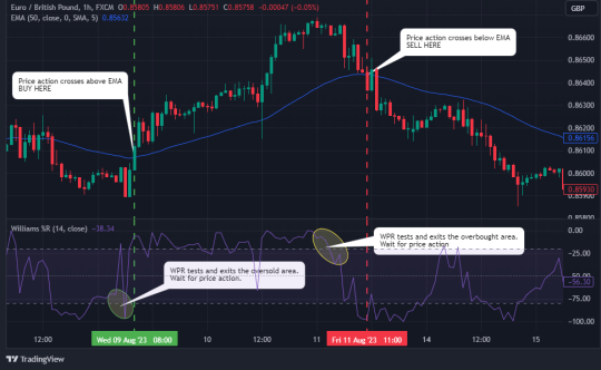 Williams %R Indicator - Williams Percent Range Trading Strategy